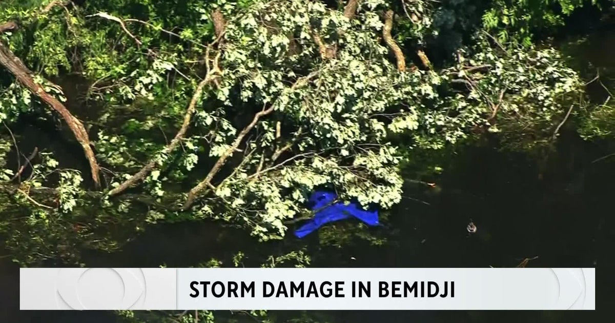 Aerial view of storm damage in the Bemidji area - CBS Minnesota