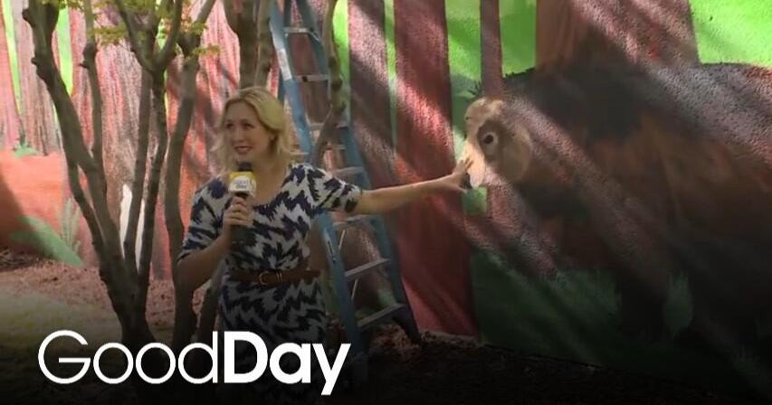 Local Artists Bring Color to the City with Massive Mural – Molly Riehl ...