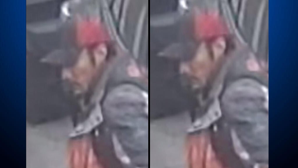 Emeryville police seek suspect in car fires, attempted arson of pizza restaurant - CBS San Francisco