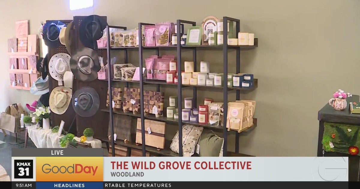 The Wild Grove Collective, 9am - Good Day Sacramento