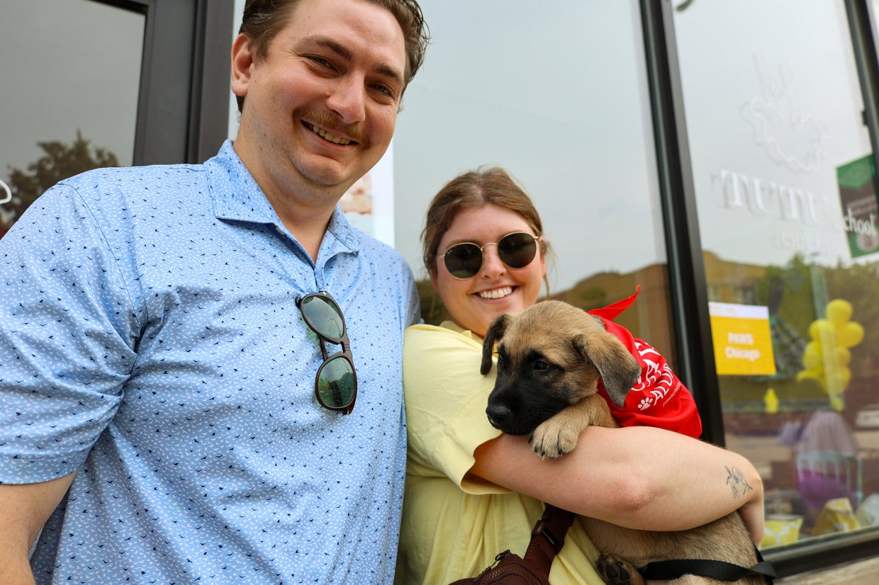 PAWS Chicago hosts adoption event for 50 pets in need of new homes ...