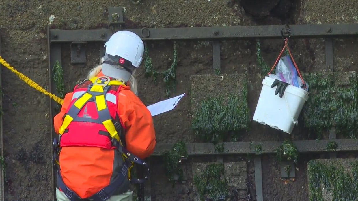 Experimental tiles bring life to seawall along San Francisco's ...