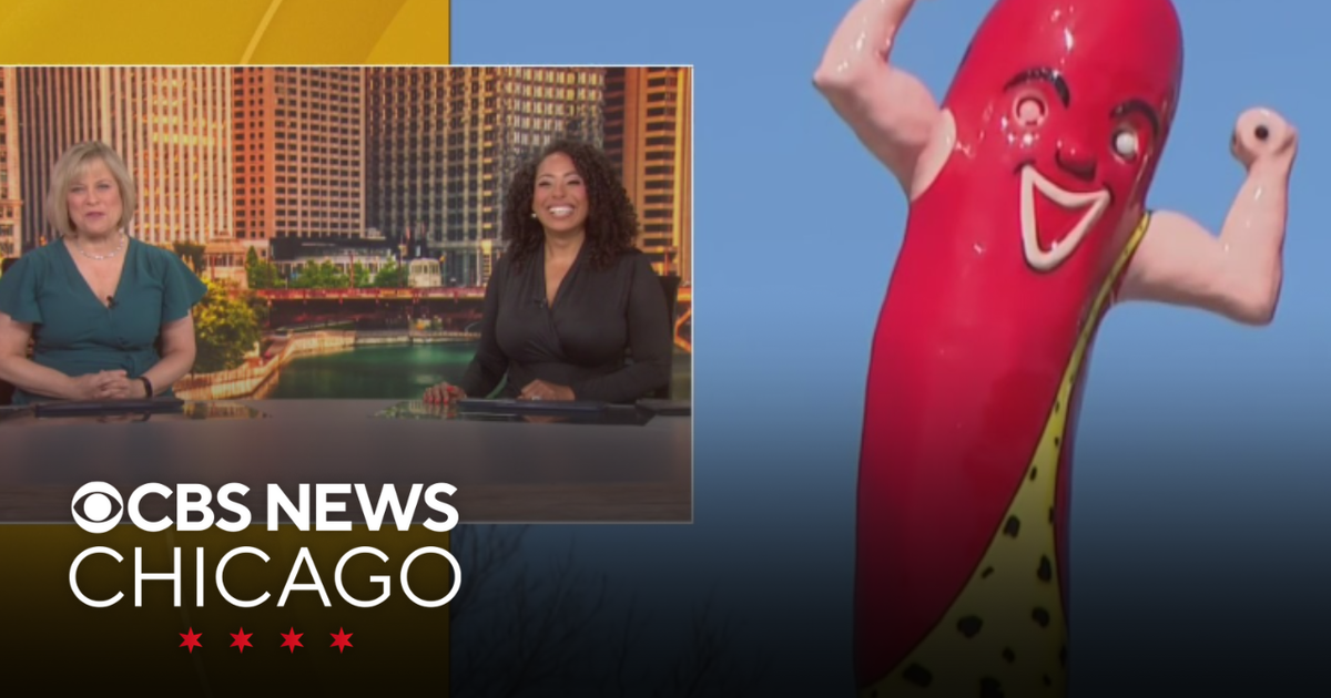 Celebrating National Hot Dog Day - CBS Chicago