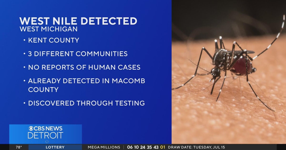 West Nile virus confirmed among mosquitoes in West Michigan - CBS Detroit