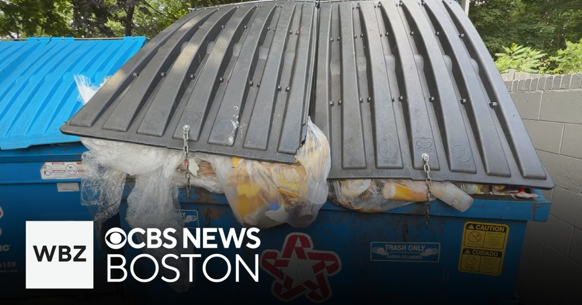 Mass. towns file lawsuit against Republic amid trash strike - CBS Boston