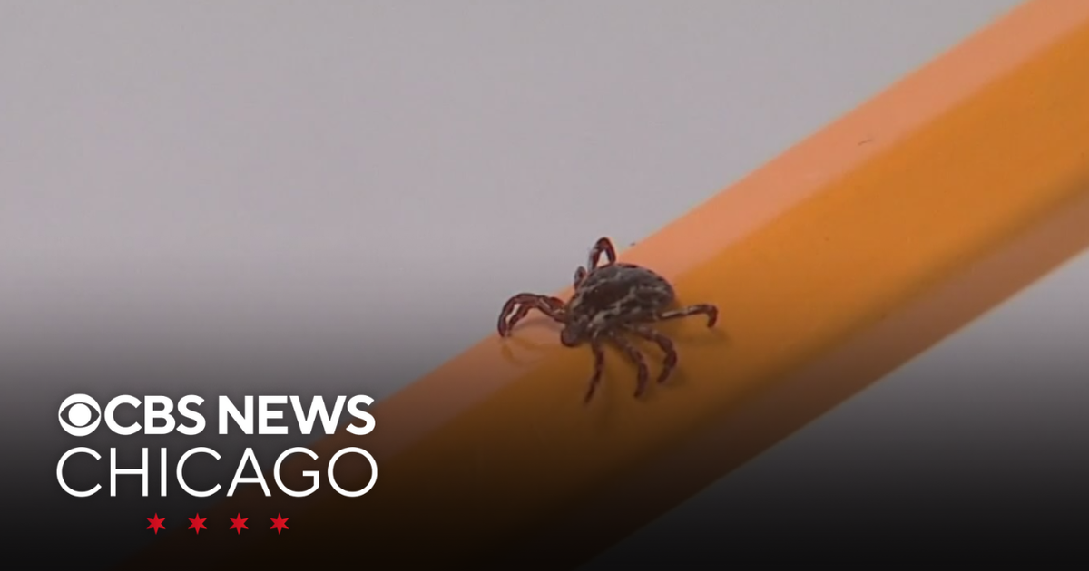 Rain and humidity make for perfect storm for ticks in Midwest and ...