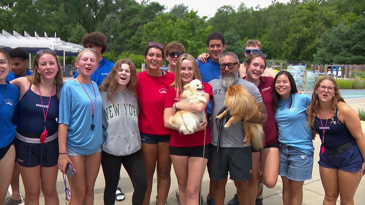 Lost Pomeranian reunited with family after wandering into Como Pool ...