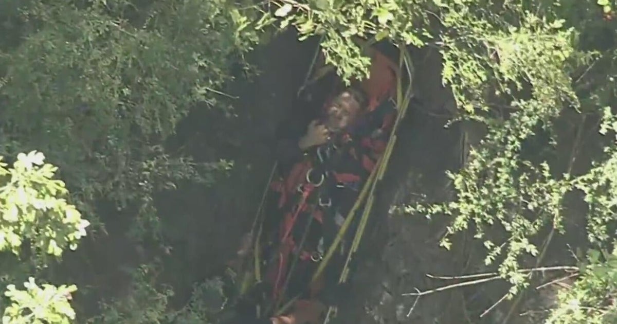 Man rescued from Dallas ravine after falling off tractor - CBS Texas