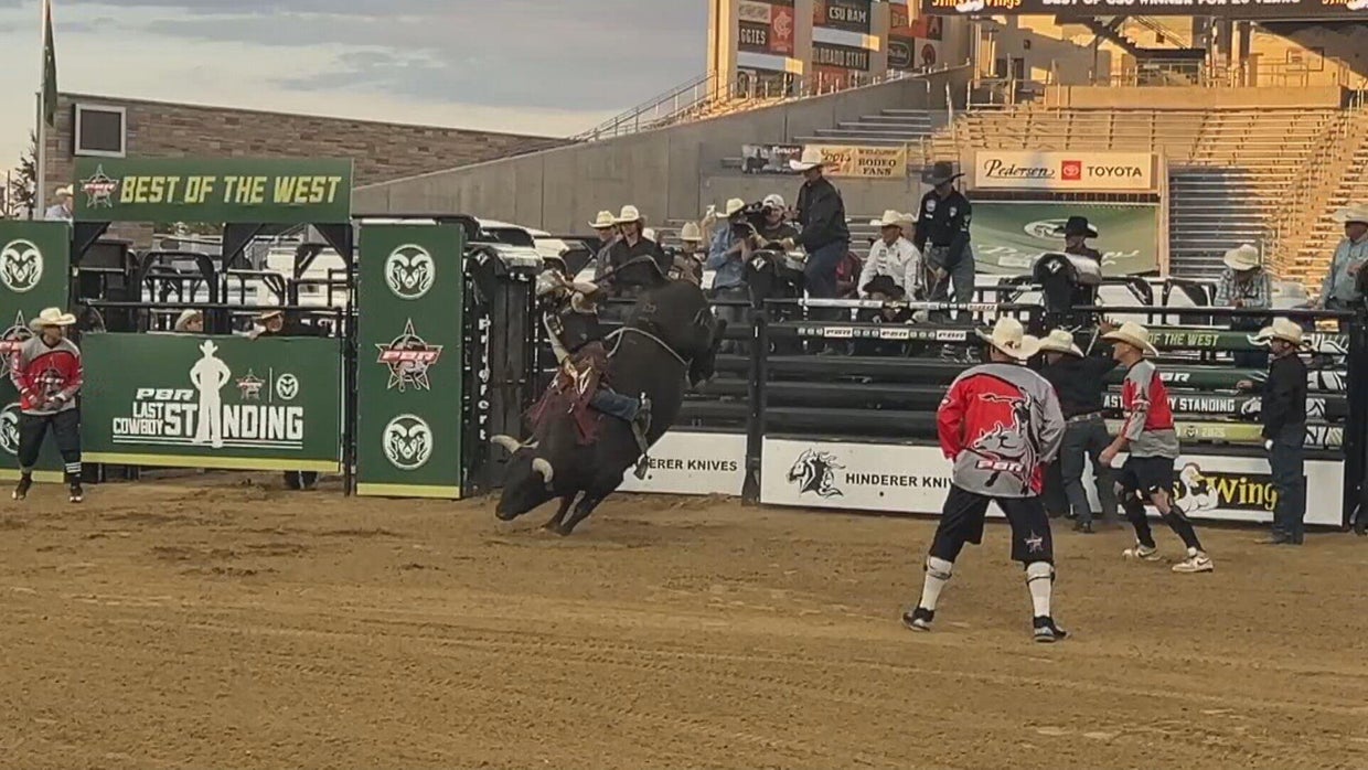 Colorado State University announces pro bull riding event will return ...