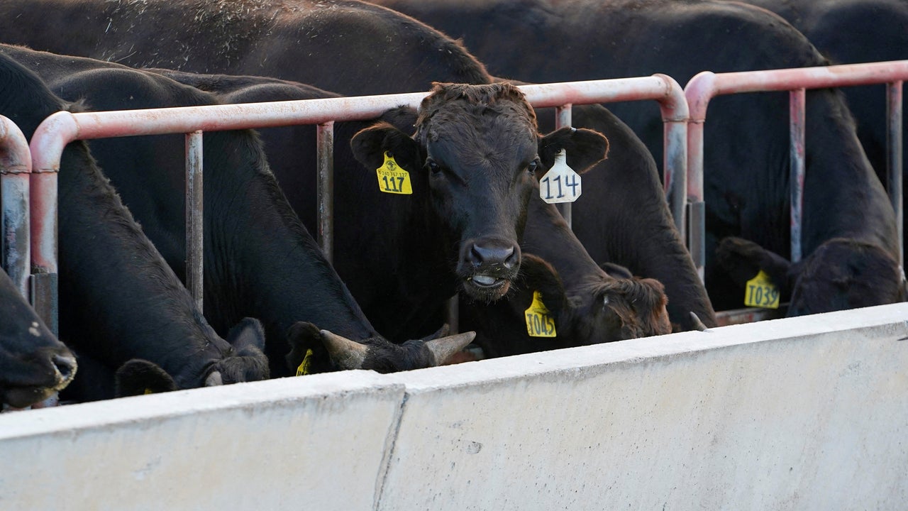 More from World News - Page 15 - CBS News