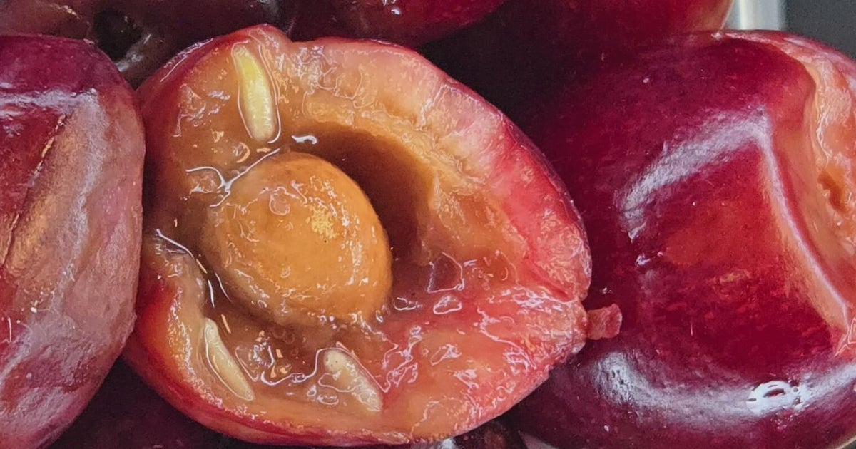 Cherries with invasive fruit flies found at Detroit Metro Airport - CBS ...