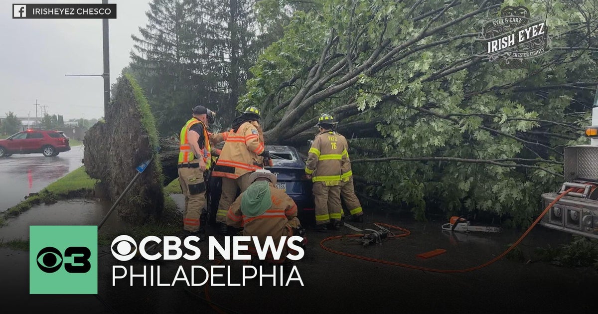 Tesla driver rescued after tree falls on vehicle during heavy storms ...