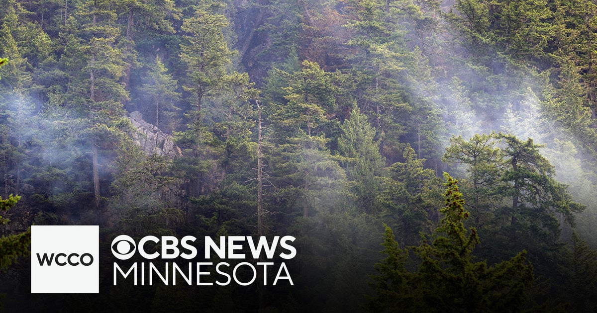 Canadian wildfires burn nearly 16 million acres - CBS Minnesota
