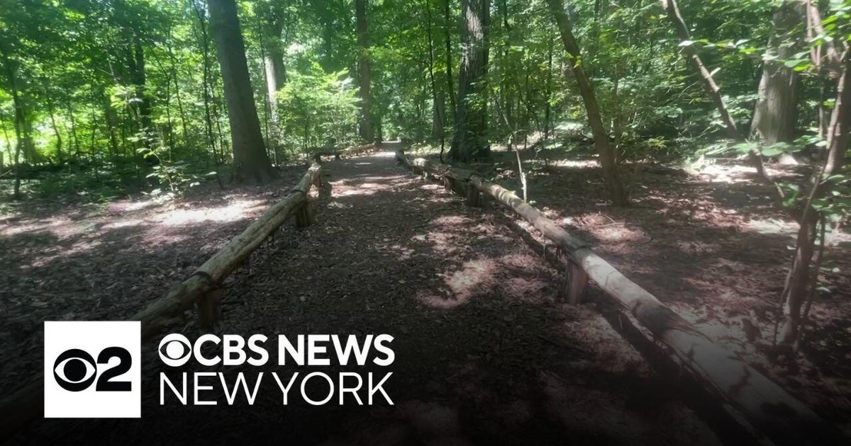 New network of nature trails unveiled in Brooklyn's Prospect Park - CBS ...