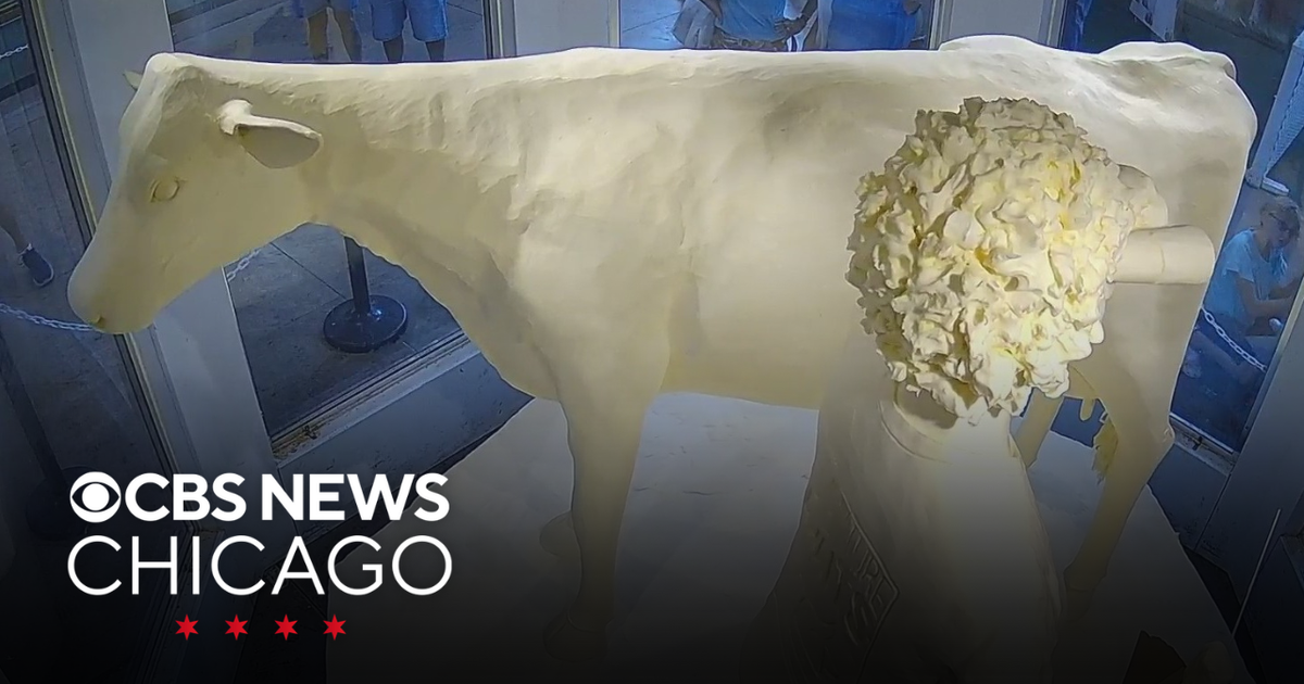 Butter cow at Illinois State Fair - CBS Chicago