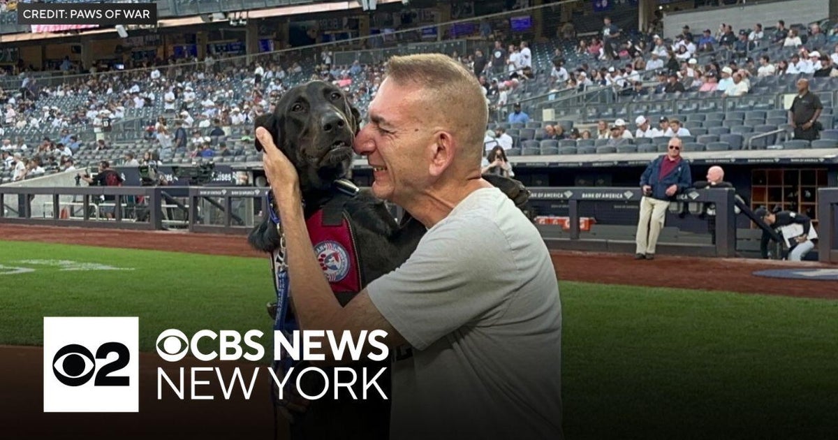 Long Island veteran gifted service dog at Yankee Stadium ceremony - CBS ...