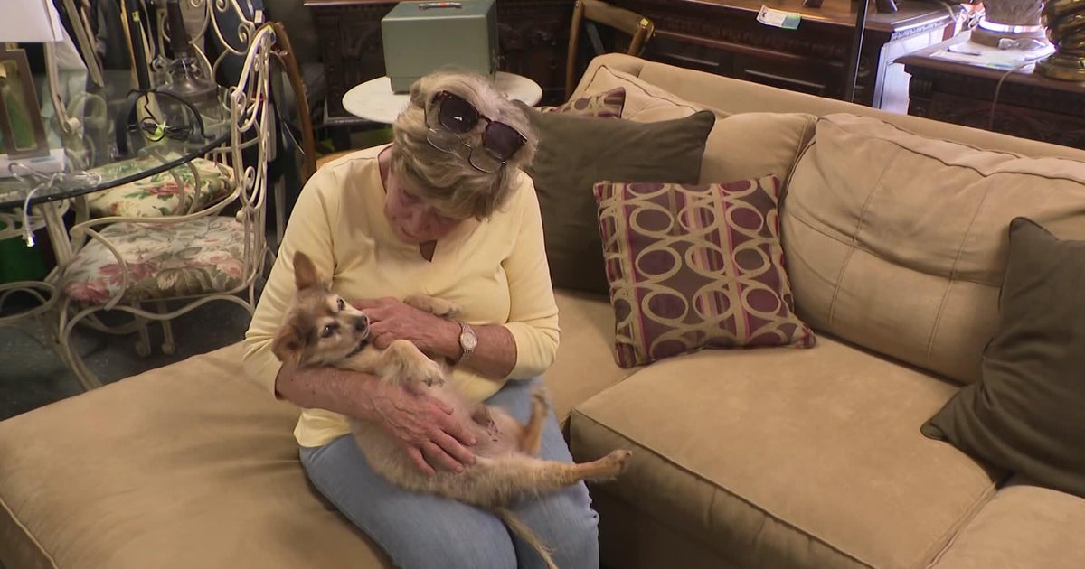 The Pet Project helps those in need keep their furry companions by ...
