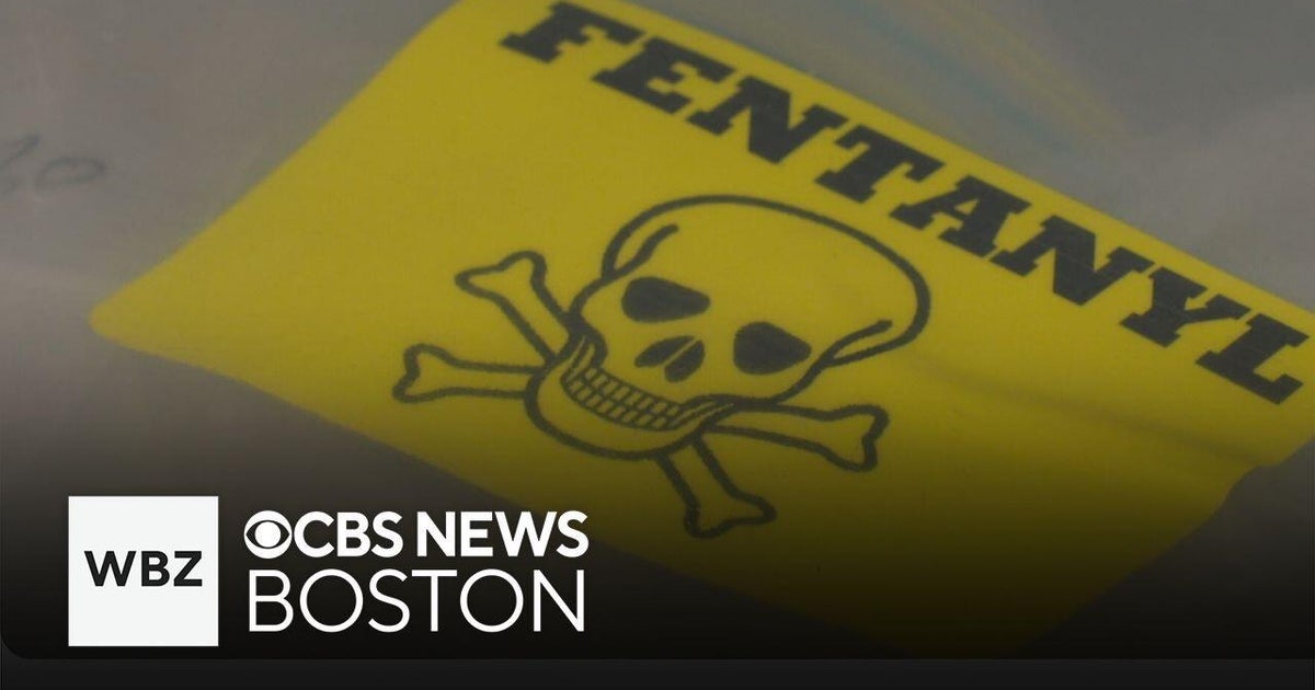 Full Video: Dozens arrested in massive drug cartel bust in New England ...