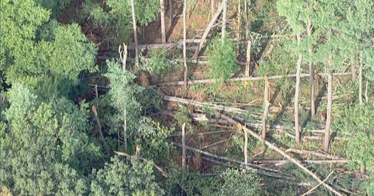 5 tornadoes touched down in 4 Massachusetts towns Saturday, National ...