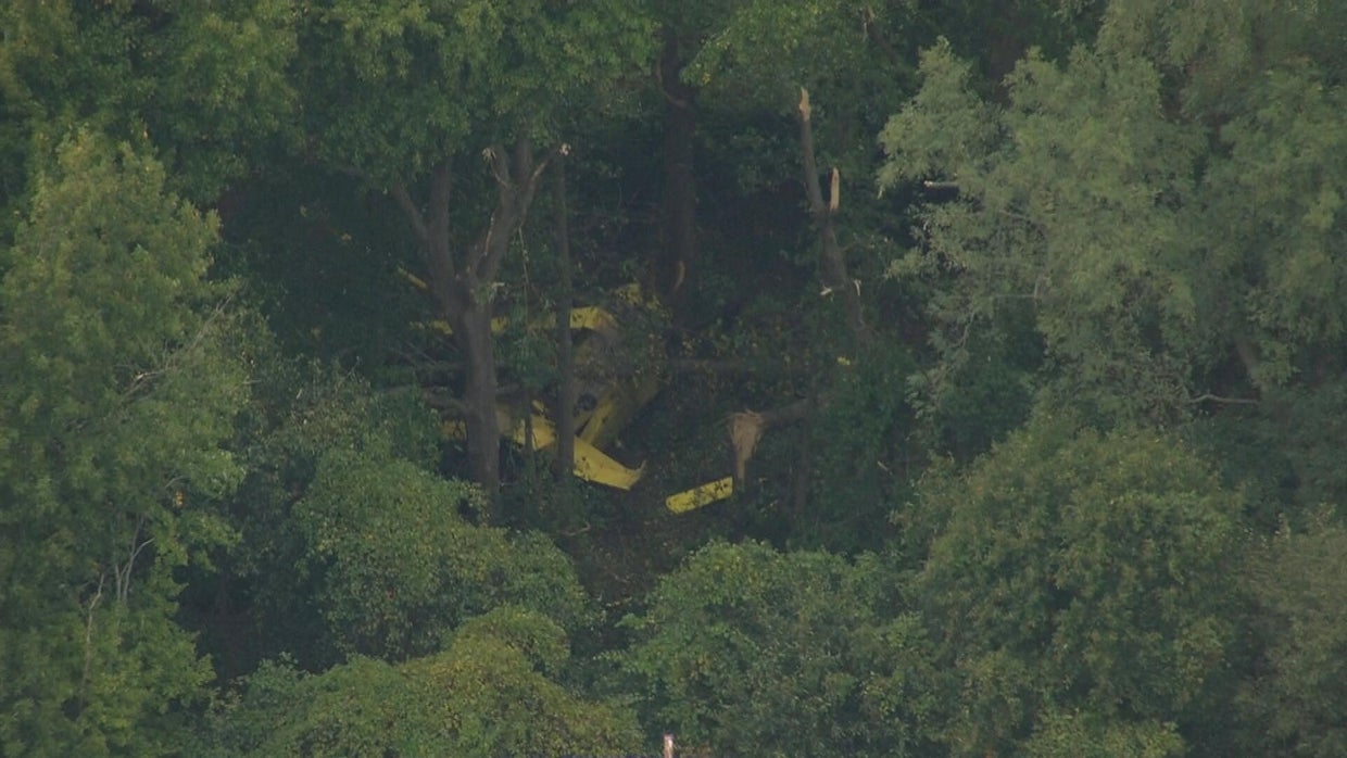 Plane crashes in Dover, Delaware; no injuries reported, state police ...