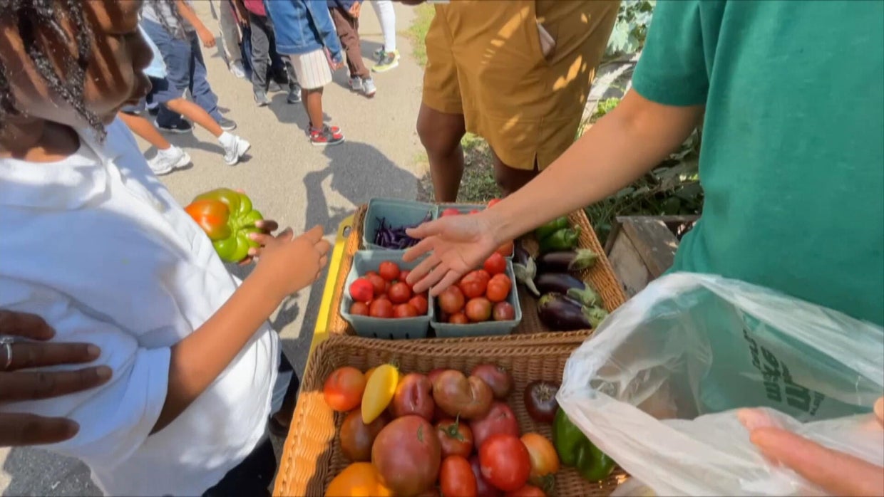 Philadelphia public schools seeing impacts of federal funding cuts to ...