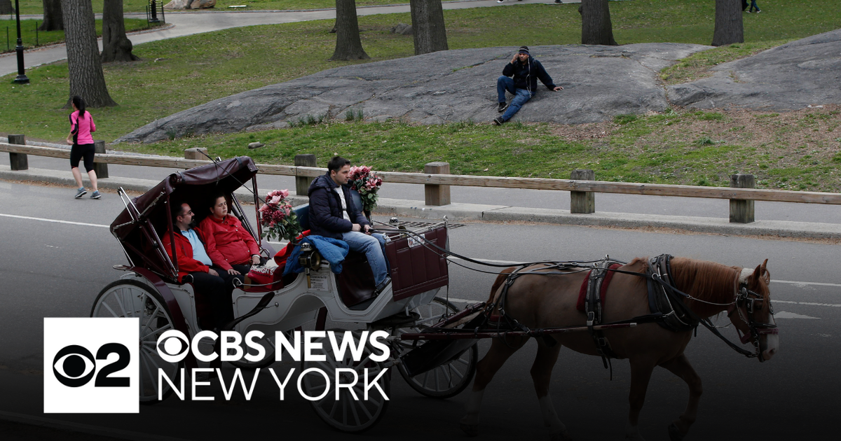 Mayor Eric Adams calls for a carriage horse ban - CBS New York
