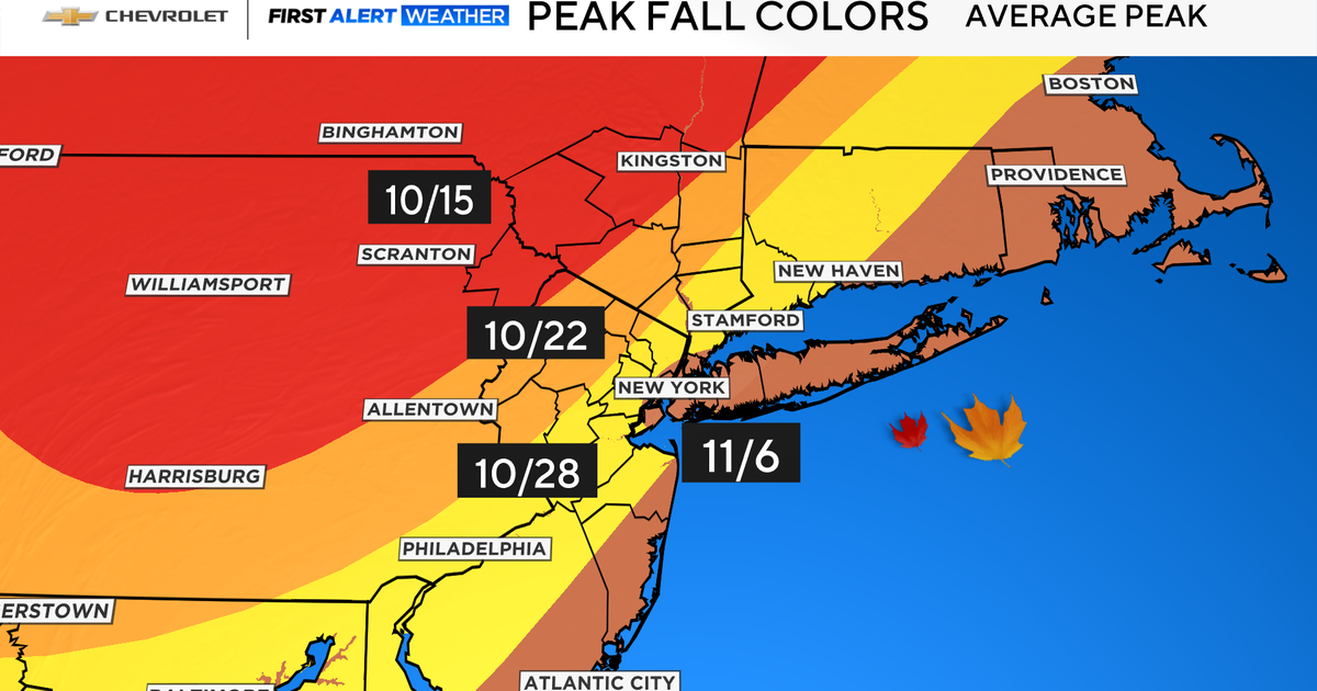 Map shows fall foliage forecast for New York and Tri-State Area. Here's ...