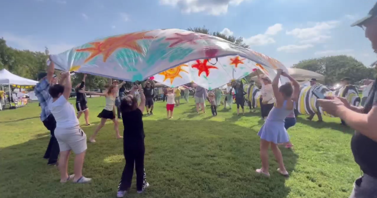 Solar Fest at Chicago's Montrose Beach advocates for clean energy this ...