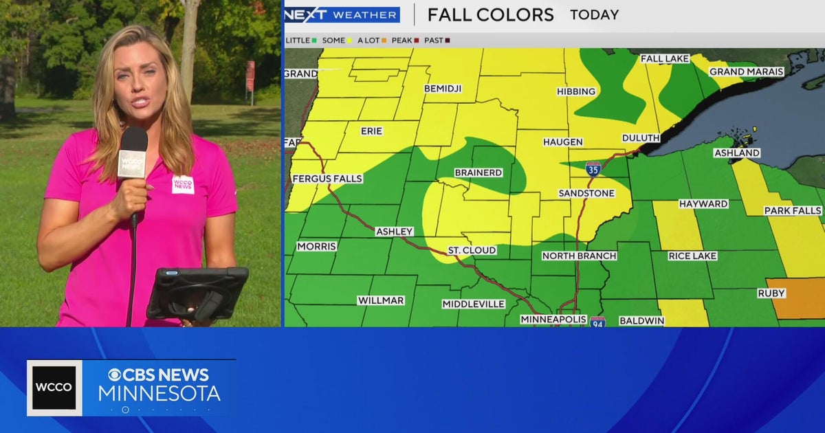 Fall colors are showing up later than usual this season - CBS Minnesota