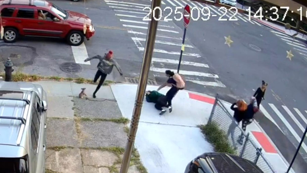 Video shows Bronx 11-year-old brutally beaten, puppy kicked in shocking ...