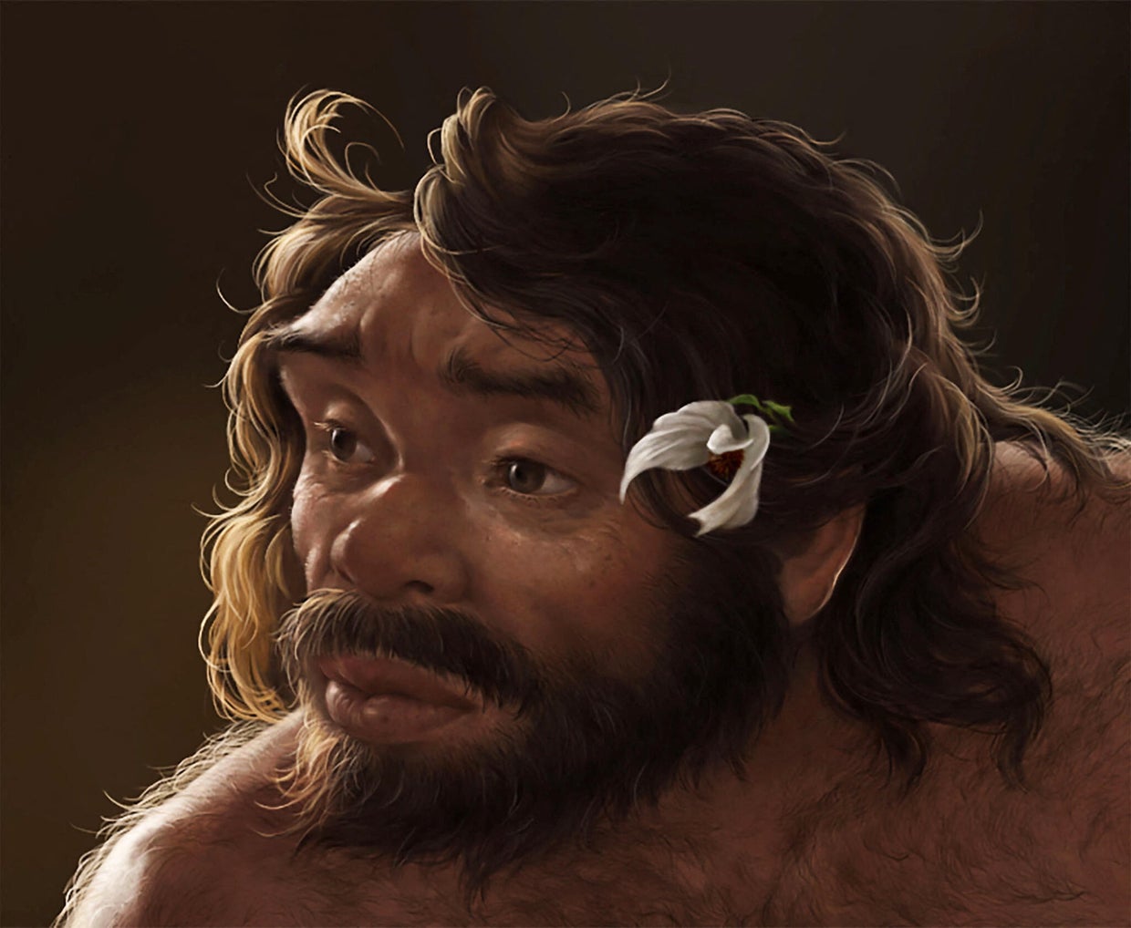 Million-year-old skull found in China could rewrite human evolution ...