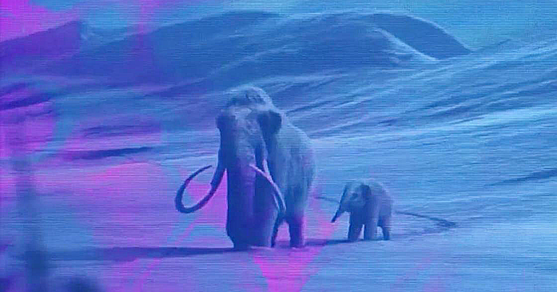 Dallas biotech firm works to revive extinct species - CBS Texas