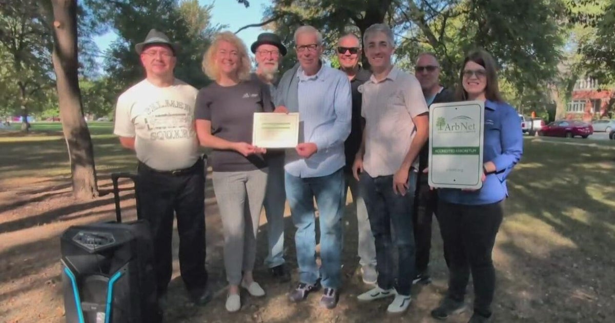 Palmer Square Park in Logan Square becomes Chicago's first accredited ...