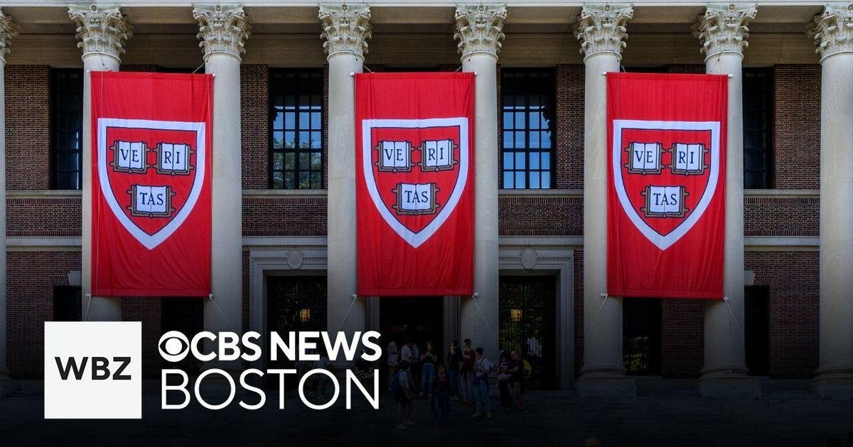 Visiting Harvard professor accused of firing pellet gun near synagogue ...