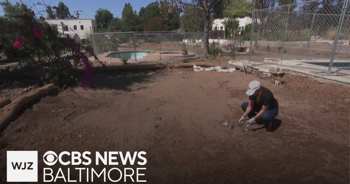 New report finds ground where California wildfires raged may now be ...