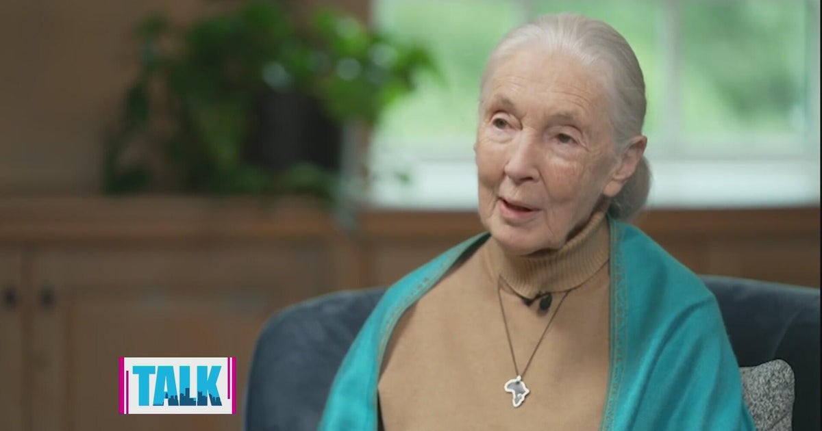 The remarkable life of Jane Goodall - CBS Pittsburgh