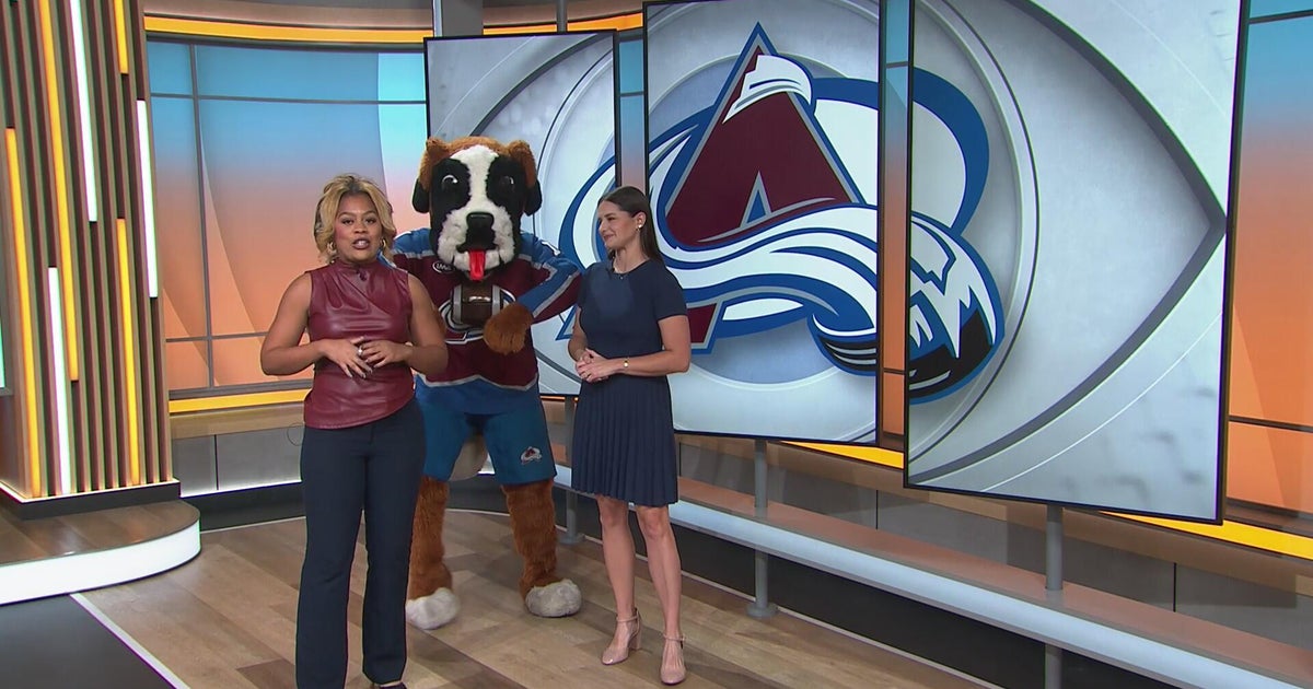 Avs mascot Bernie stops by the CBS Colorado studios - CBS Colorado