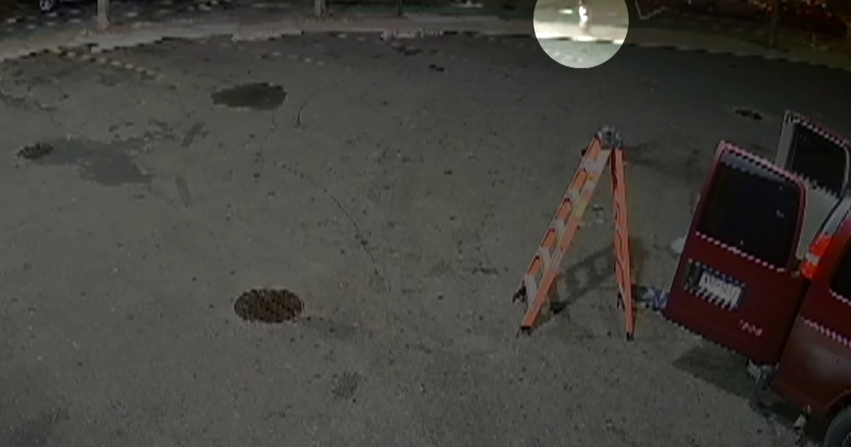 Little boy found alone on Queens street. Here's more on the search for ...