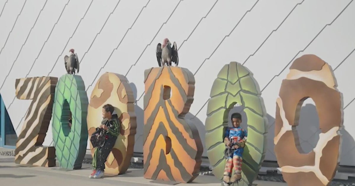 Preview for 2025 Zoo Boo at Detroit Zoo - CBS Detroit