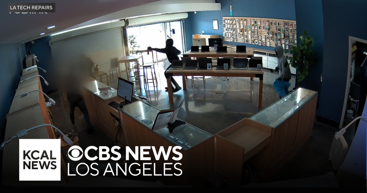 Security cameras capture pepper spray battle between LA clerk and ...