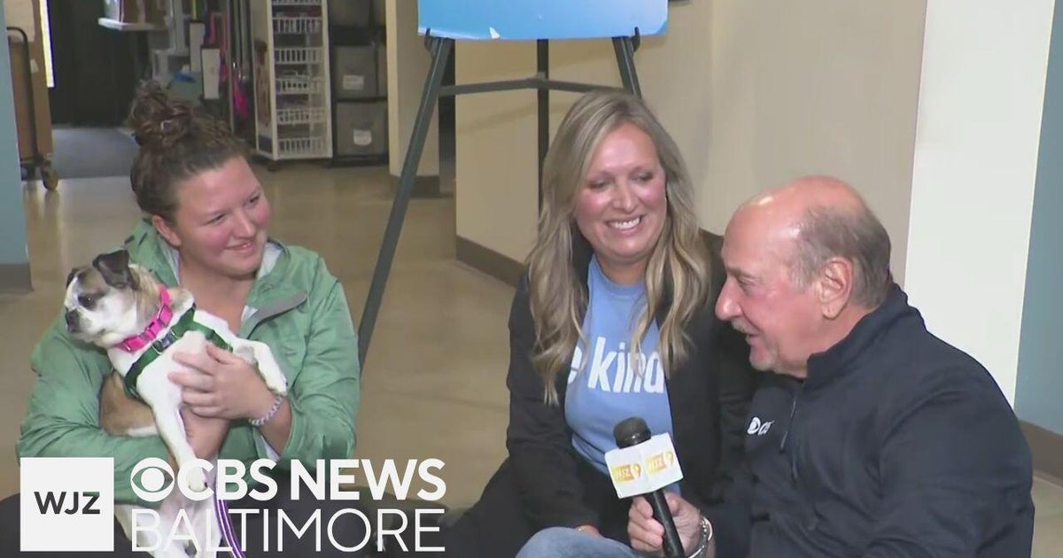 SECU day of kindness at the Maryland SPCA - CBS Baltimore