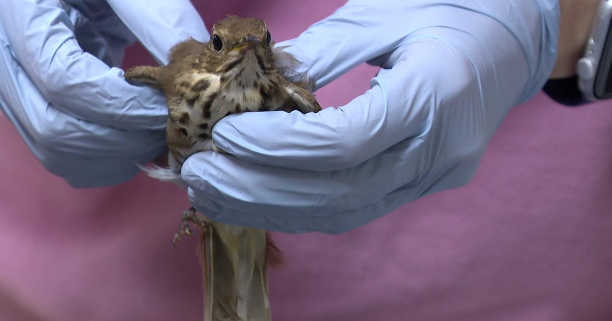 The Wildlife Rehabilitation Center of Minnesota will get a $15 million ...