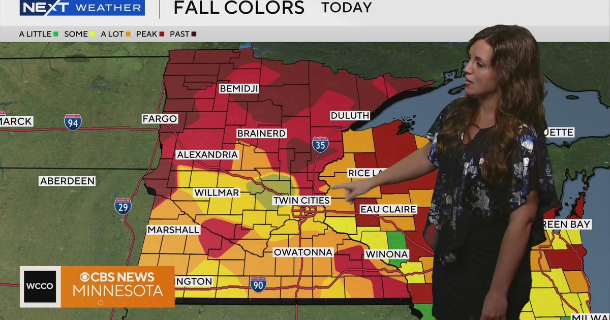 9 a.m. Minnesota weather forecast from Oct. 16, 2025 | NEXT Weather ...