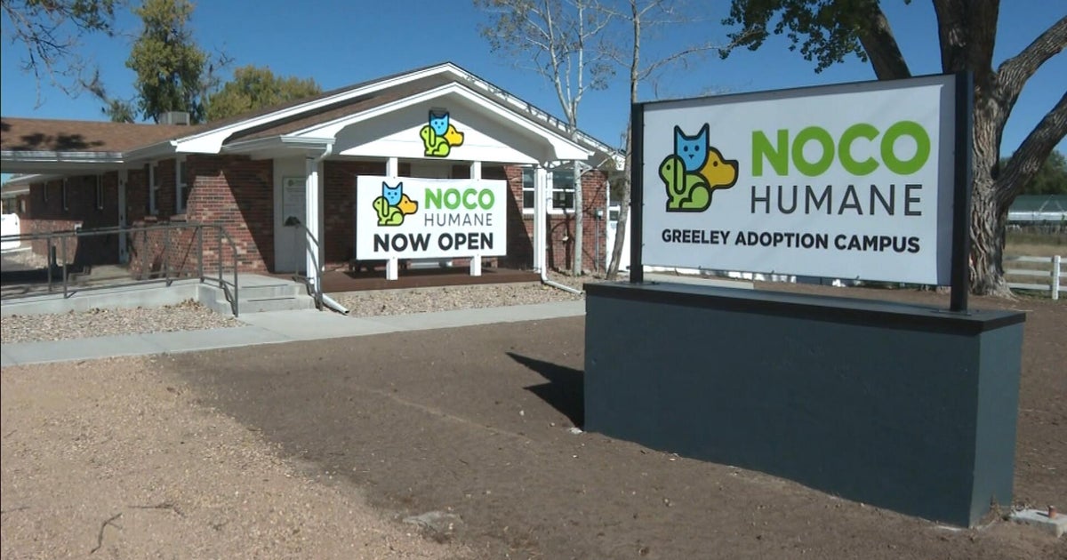 New Northern Colorado animal adoption center finds 140 forever homes in ...
