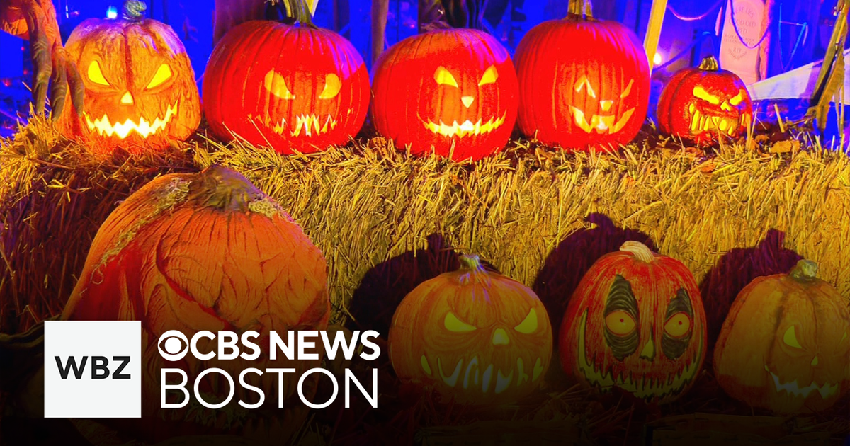 A massive Halloween display benefits the Ashland Food Pantry - CBS Boston