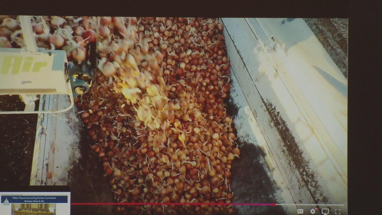 Colorado farmers turn to AI to survive as the state loses nearly 3,000 ...