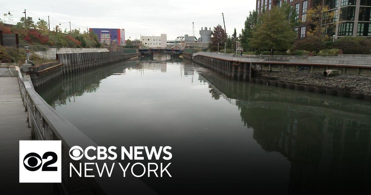 Gowanus Canal in midst of environmental transformation - CBS New York