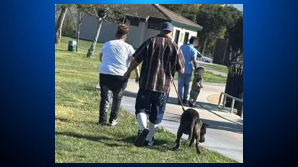 Dog Attack news - Today’s latest updates - CBS San Francisco