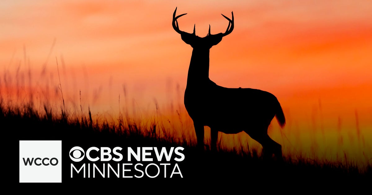 Minnesota hunters gear up for firearms deer opener - CBS Minnesota