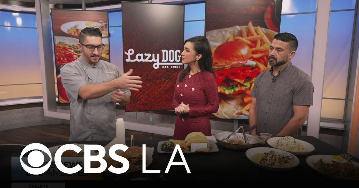 Lazy Dog restaurants partners with Semper Utilis to celebrate Veterans ...